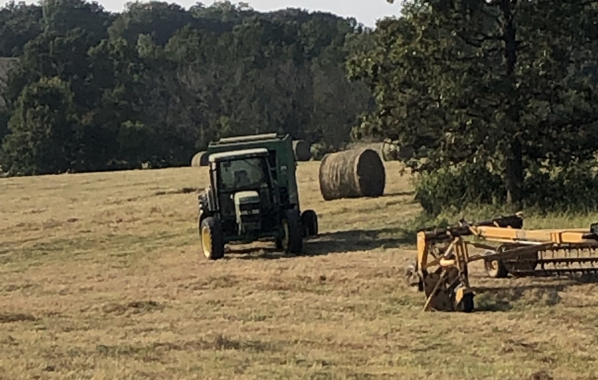 Pasture – Gibson Insurance Group